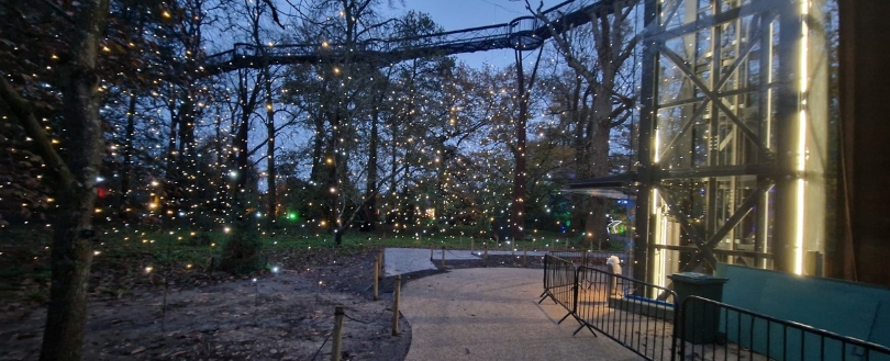 Case Study – Scenic Glass Lift for Kew Gardens Treetop Walkway